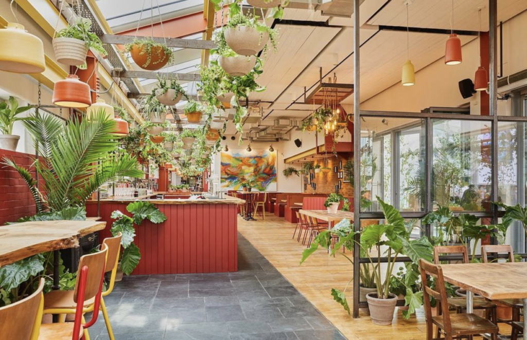 Birdhouse London - Stampede